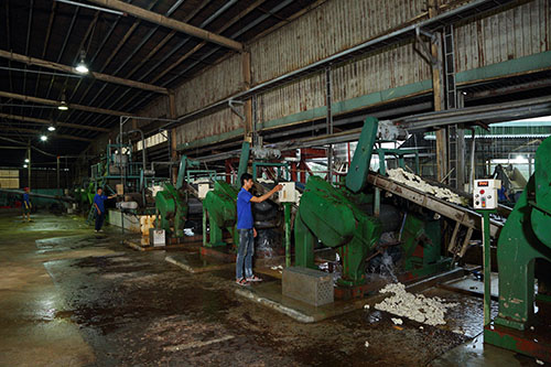 Natural Rubber SVR 10