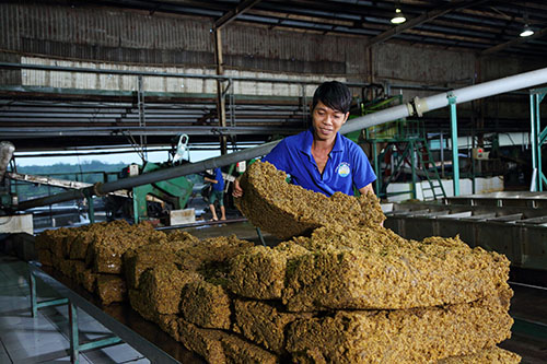 Natural Rubber SVR 10